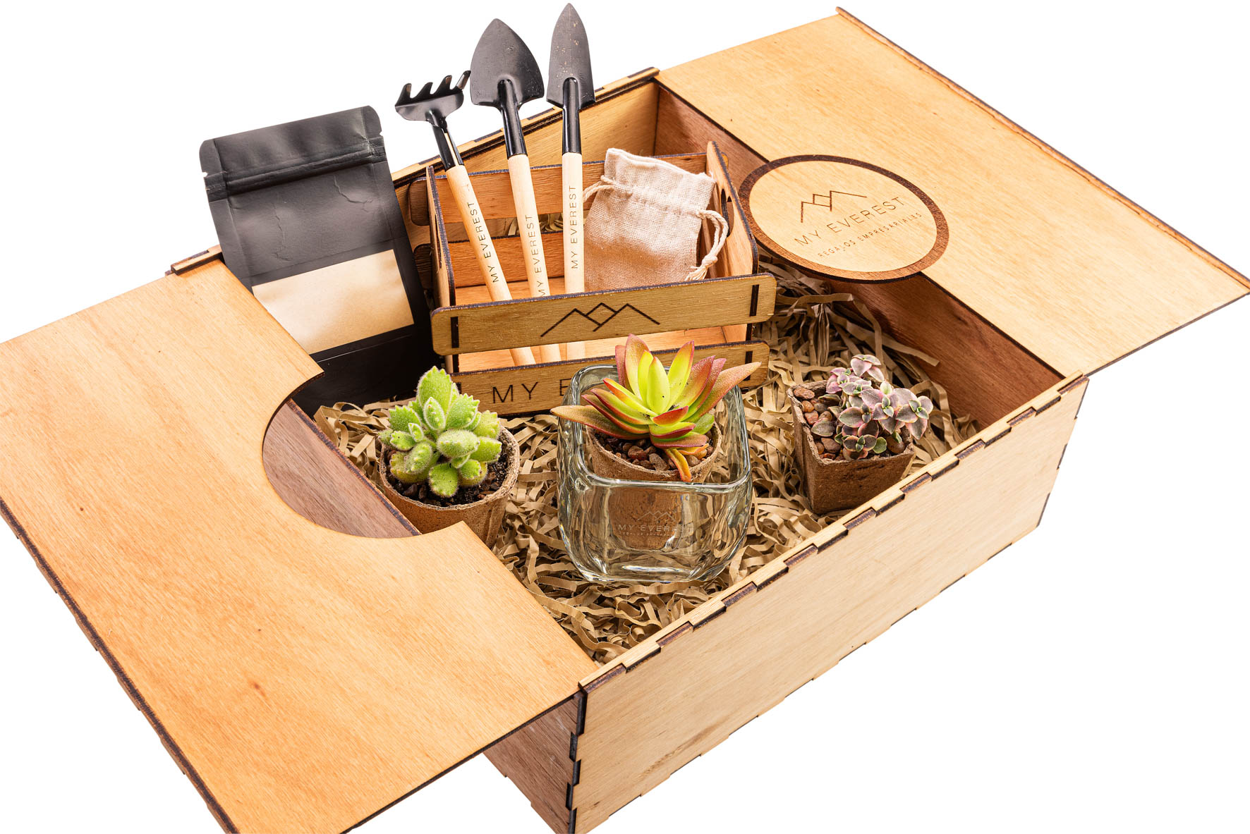 Inicio - My Everest Store